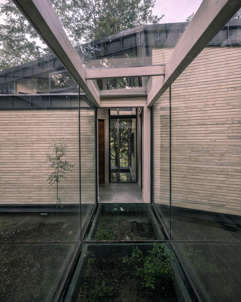 Forest House | Triangular - ArchiDiaries