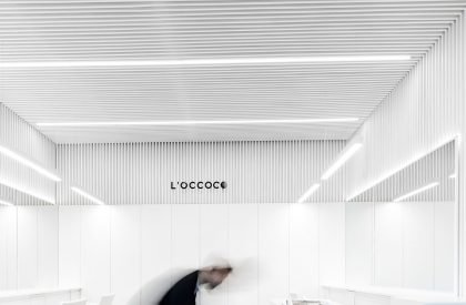 Salon L’OCCOCO | Cotaparedes Arquitectos - ArchiDiaries