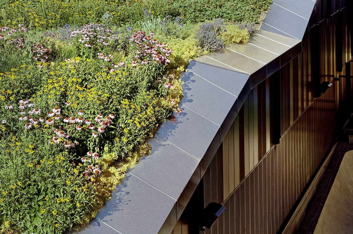 Yard | Skylab - ArchiDiaries