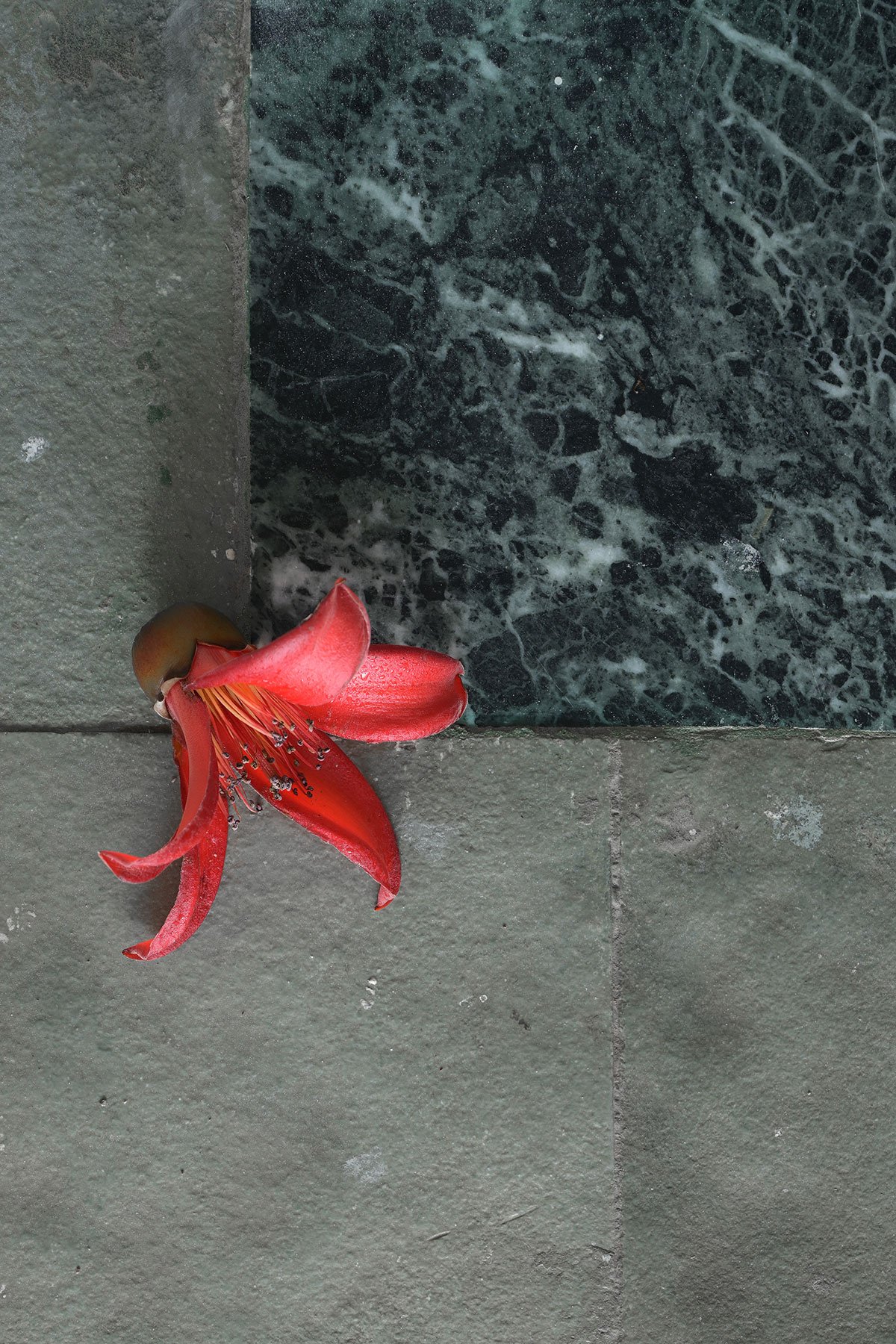 Veiled Building | KUN Studio - ArchiDiaries