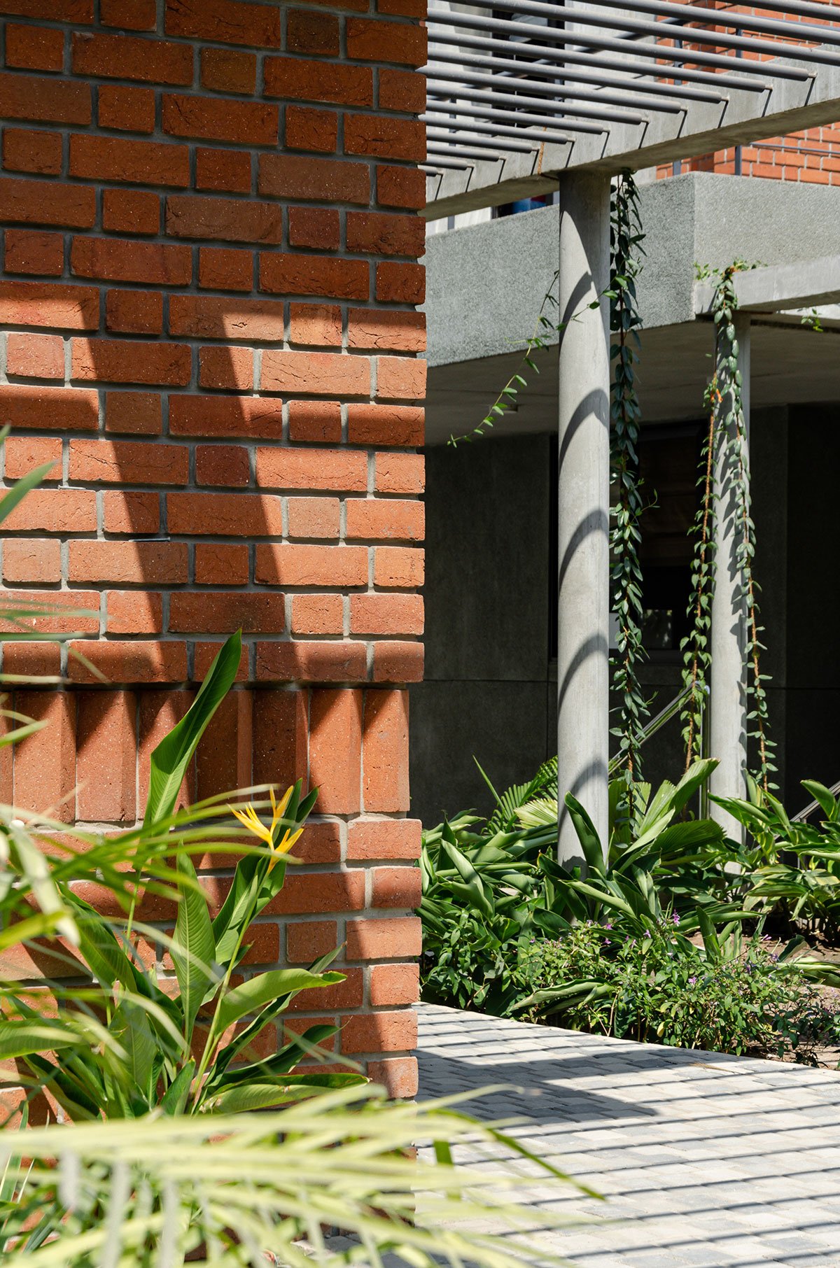 Chitrakut - An Extended Family Cluster- Faliyu | AANGAN Architects ...