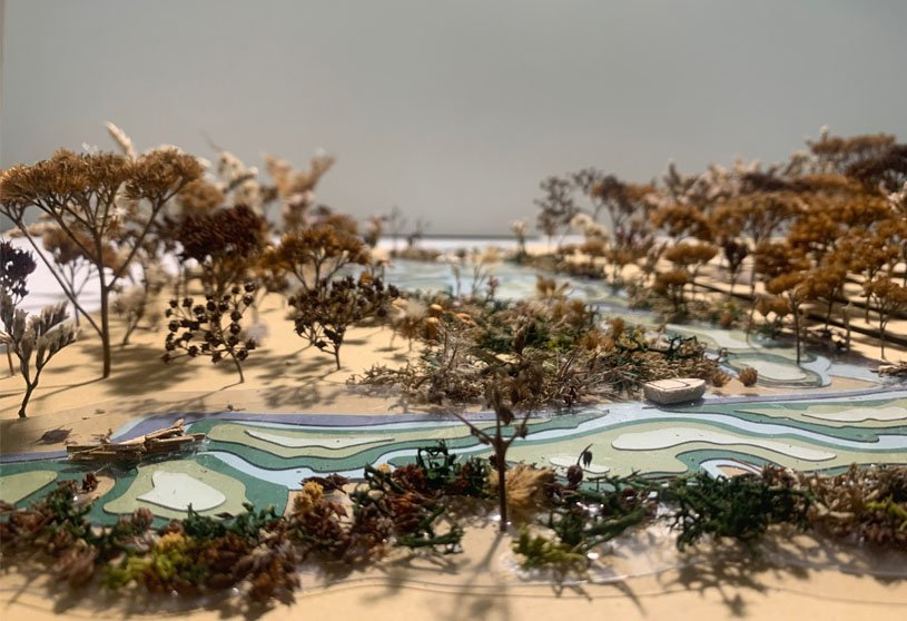The Palimpsest of Peatlands | Masters Design Thesis on Regenerative ...