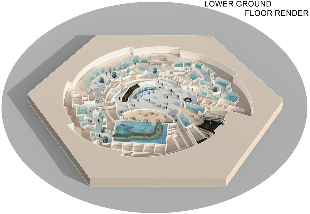 Aquatic Gallery | INI Design Studio - ArchiDiaries