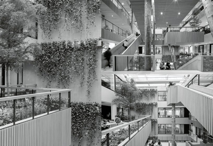 Paul de Ruiter Architects - ArchiDiaries